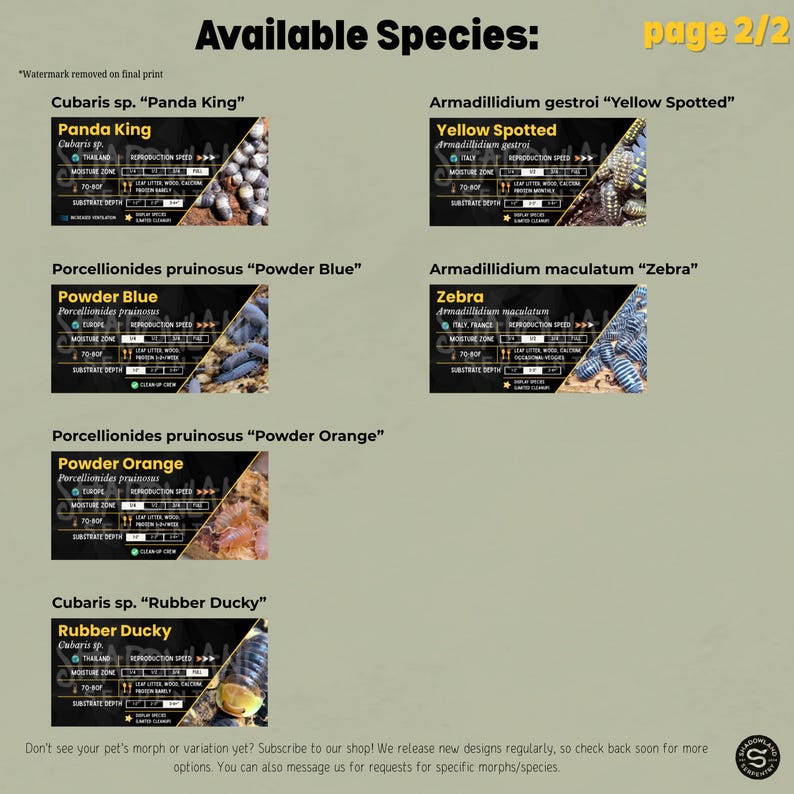 Isopods Species Label - Laminated Care Tag & Bin Enclosure Decor - Etsy
