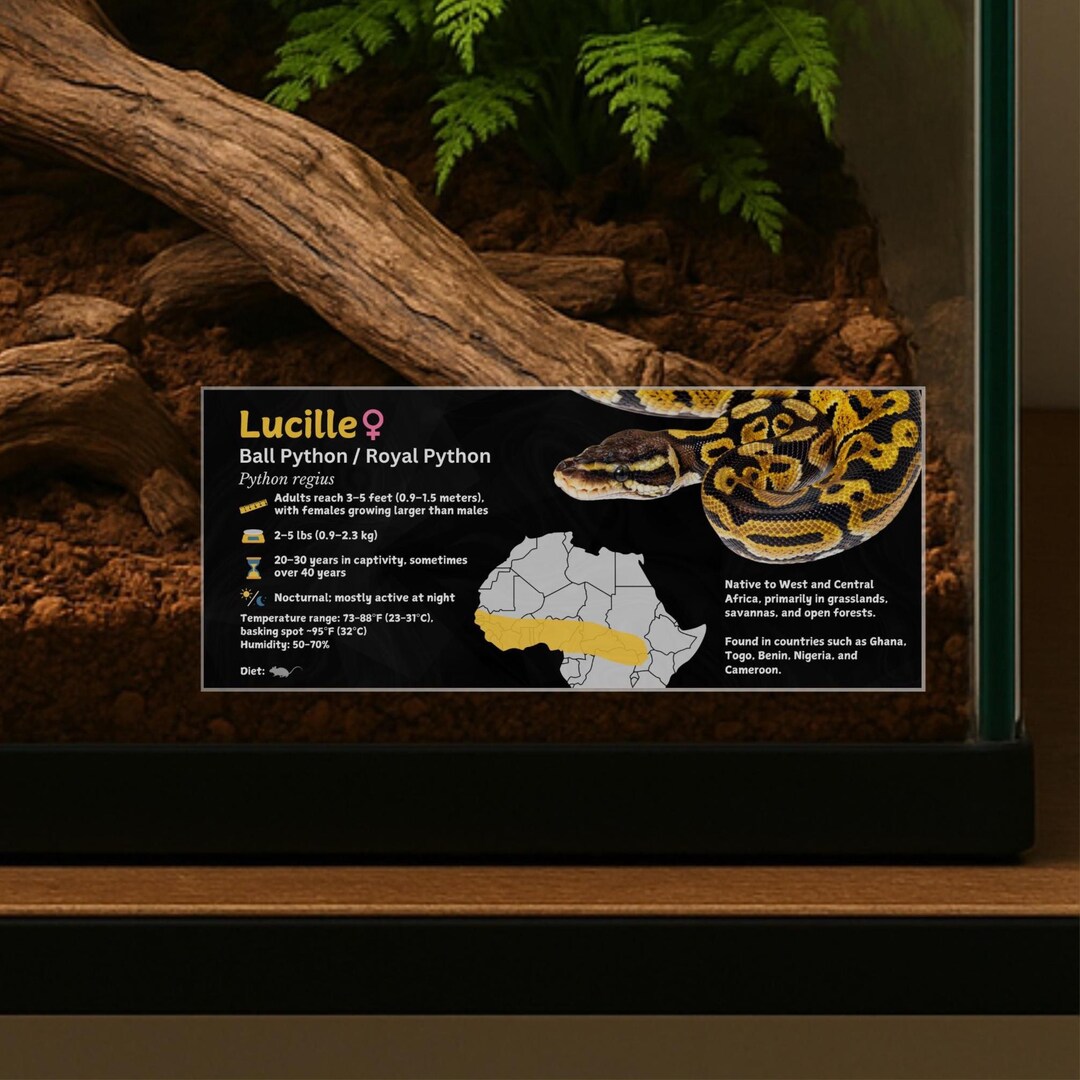 Personalized Ball Python Enclosure Label: Laminated Vivarium ...