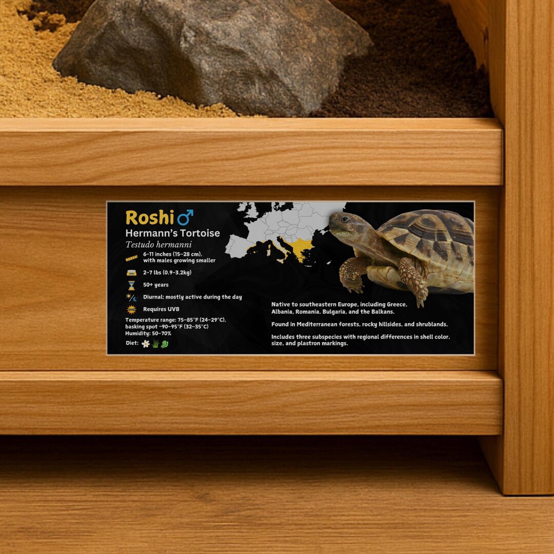 Personalized Hermann's Tortoise Species Label, Custom Name Laminated ...