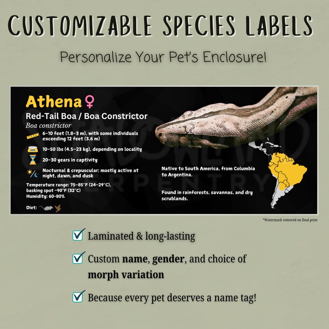 Personalized Boa Constrictor Species Enclosure Label: Laminated ...