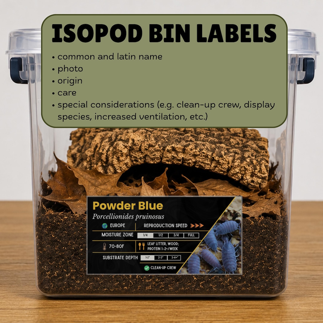 Isopods Species Label - Laminated Care Tag & Bin Enclosure Decor - Etsy