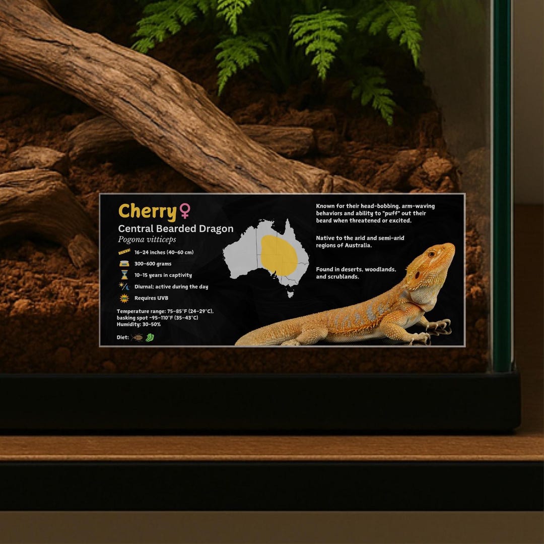Personalized Bearded Dragon Species Label, Custom Name Laminated ...