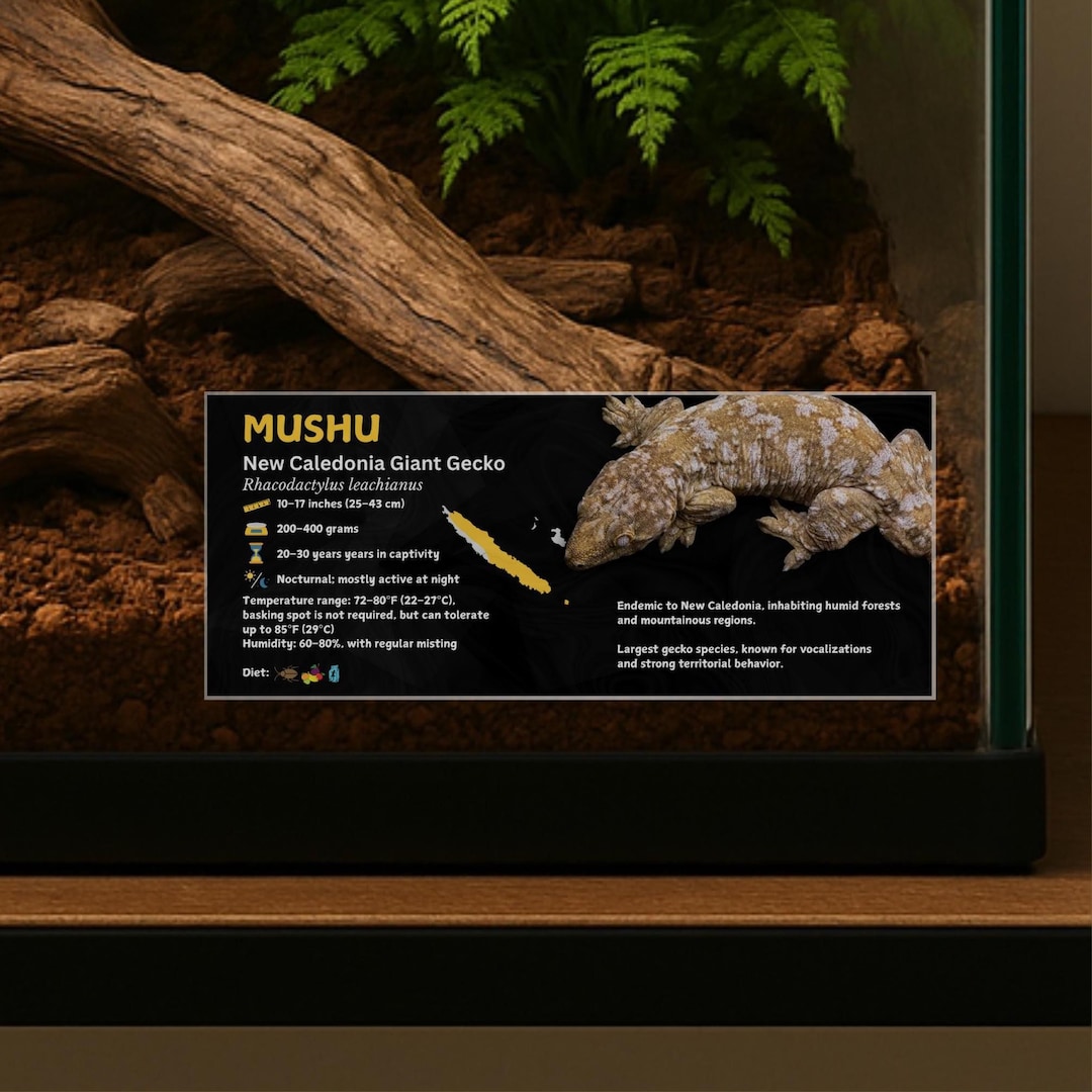 Personalized Leachianus Gecko Species Label, Custom Name Laminated ...