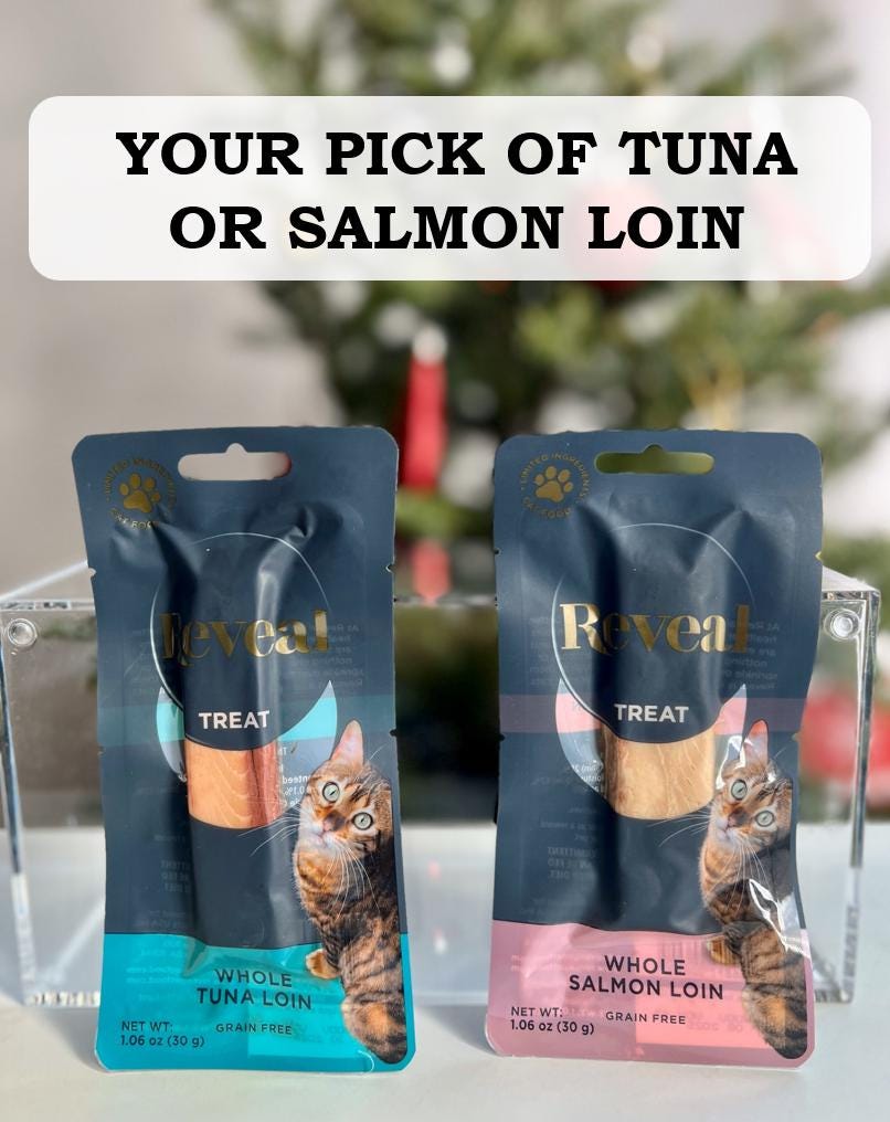 Seafood Cat Treat Box | Cat Snack Box | Cat Gifts | Cat Holiday Gift ...