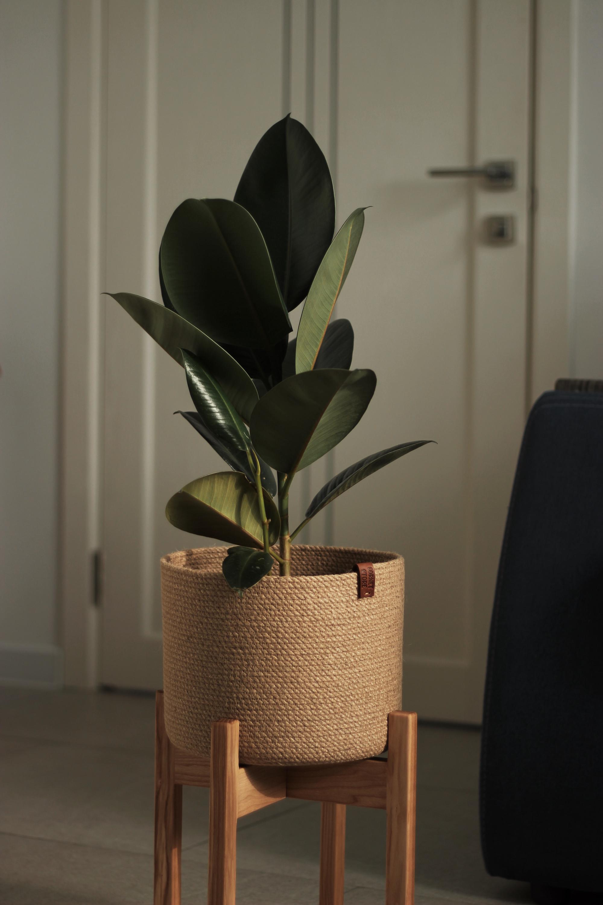 Jute Rope Plant Pot With Stand, Boho Style, Decorative Cylinder Flower ...