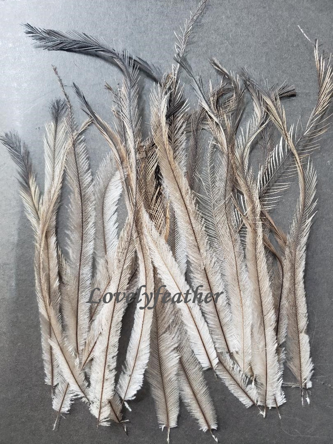 100 Pcs Nautral EMU Feathers for Crafts - Etsy