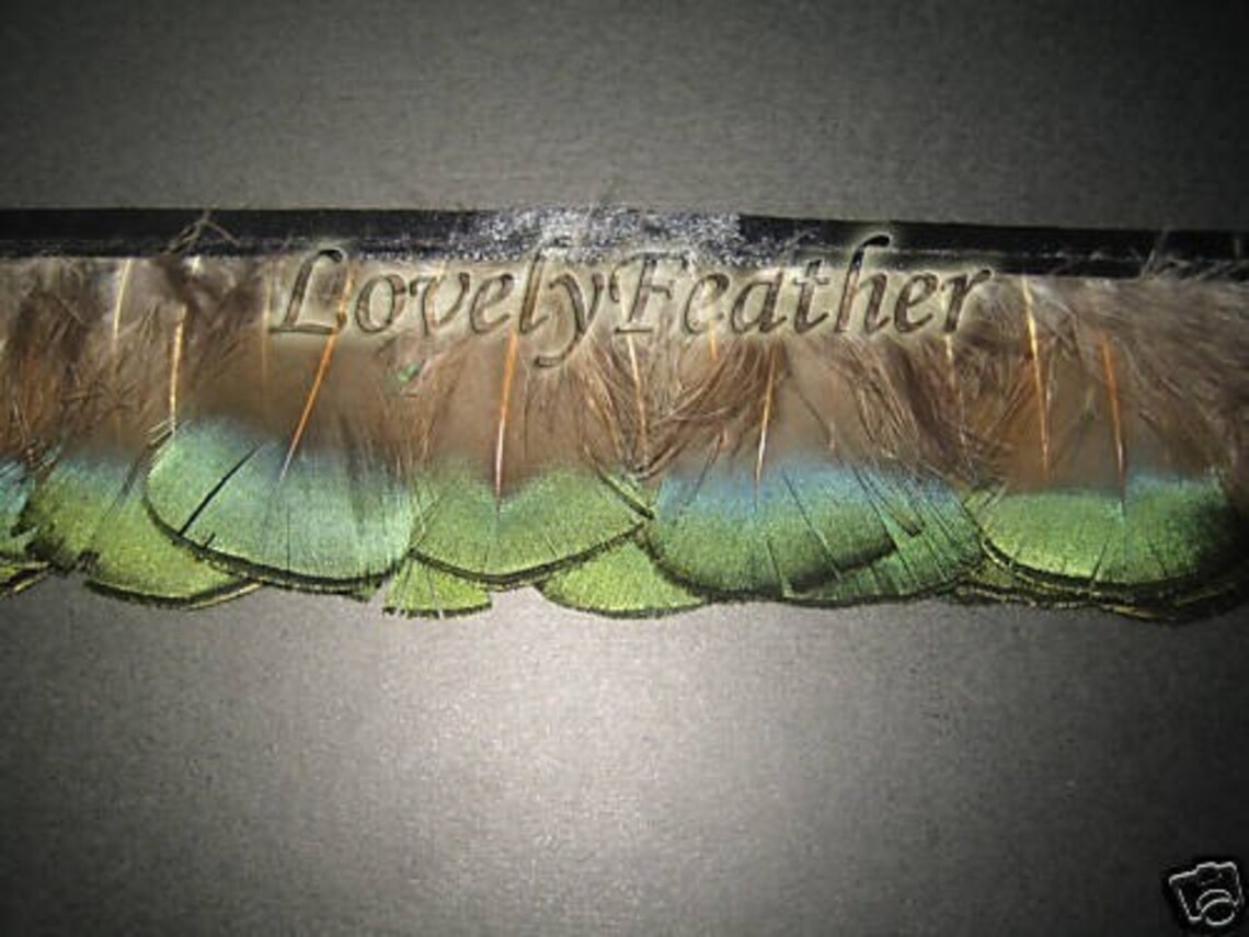 Golden Pheasant Ruff Feather Fringe of Green 2 Yards Trim New - Etsy