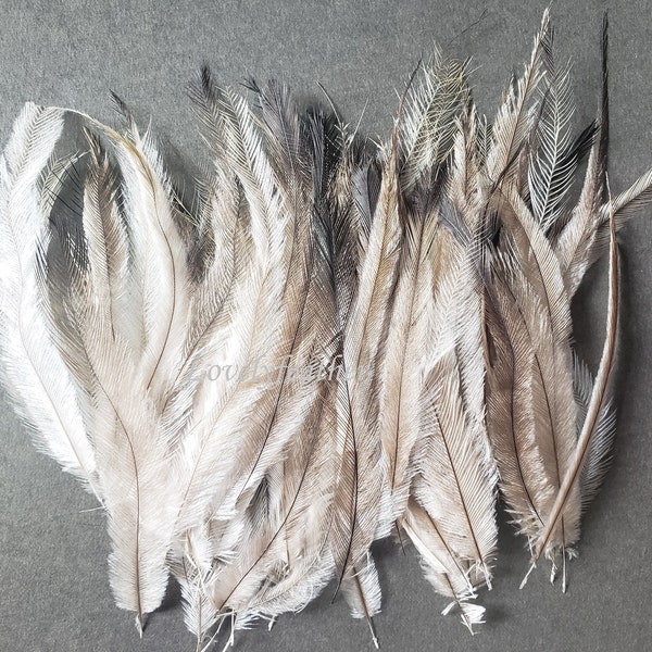 Emu Feathers - Etsy