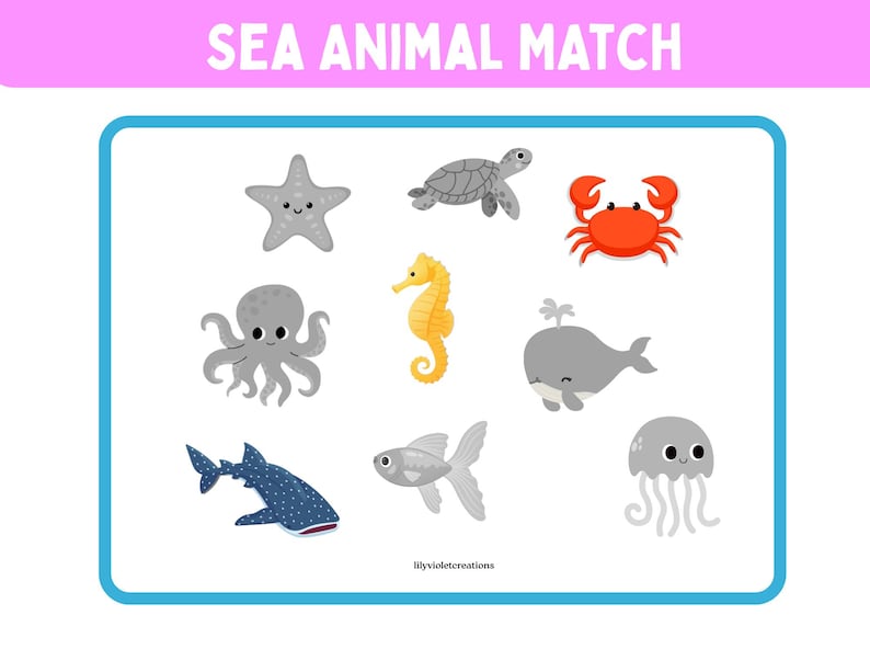 Sea Animal Shadow Matching - Etsy
