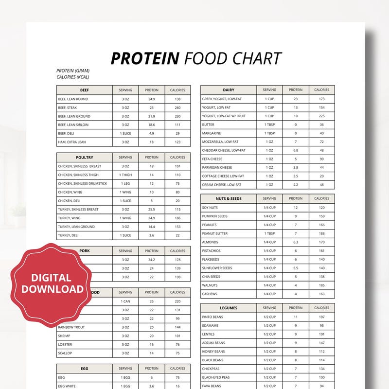 Protein Chart - Etsy