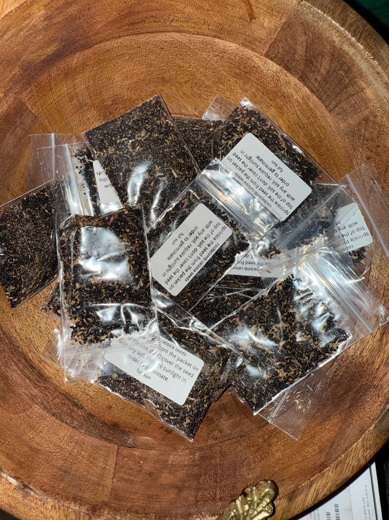 Giant Cockscomb (celosia Seeds ) You Will Receive a Lots of Seeds - Etsy