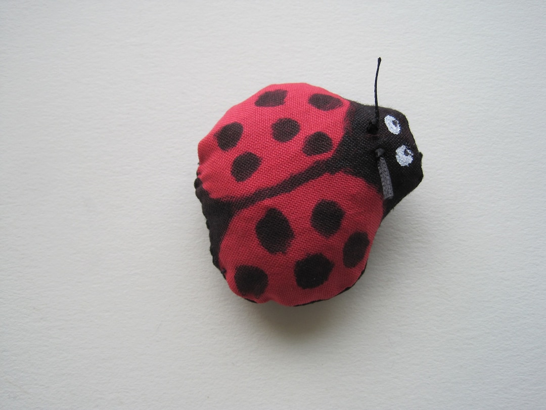 Lady Bug Cat Toy - Unique Cat Toys Filled With Organic Catnip - Etsy