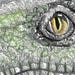 Jurassic Park Blue Raptor Colored Pencil Drawing - Art Print - Etsy