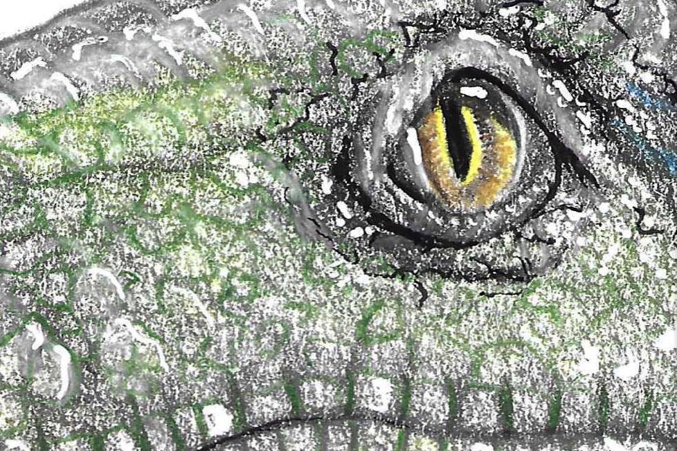 Jurassic Park Blue Raptor Colored Pencil Drawing - Art Print - Etsy