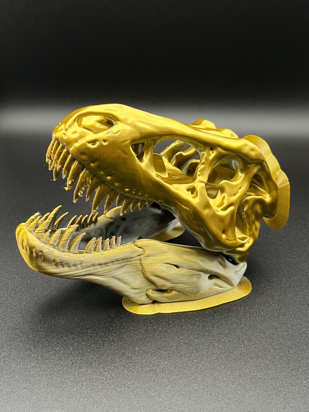 T-rex Fossil Skull 3D Print - Etsy