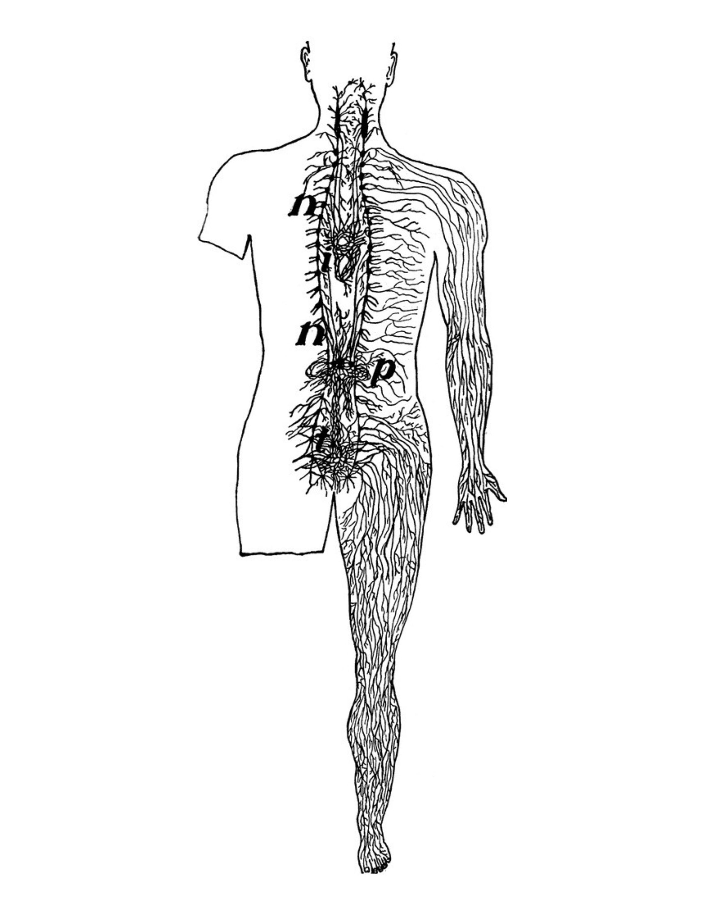 Digital Collage Lab: Kit 1 a Downloadable Collage Kit Fashioned in a ...