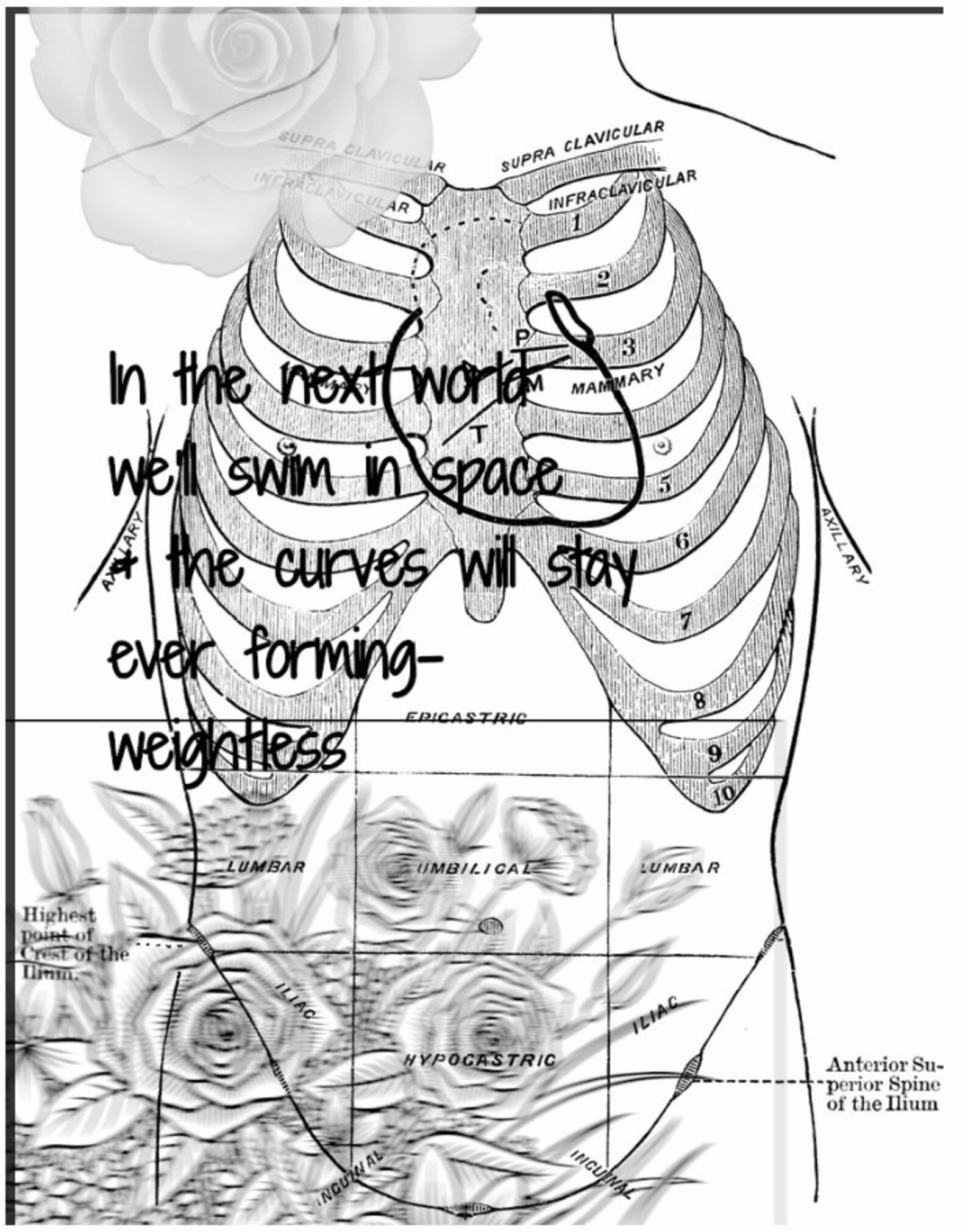 Digital Collage Lab: Kit 1 a Downloadable Collage Kit Fashioned in a ...