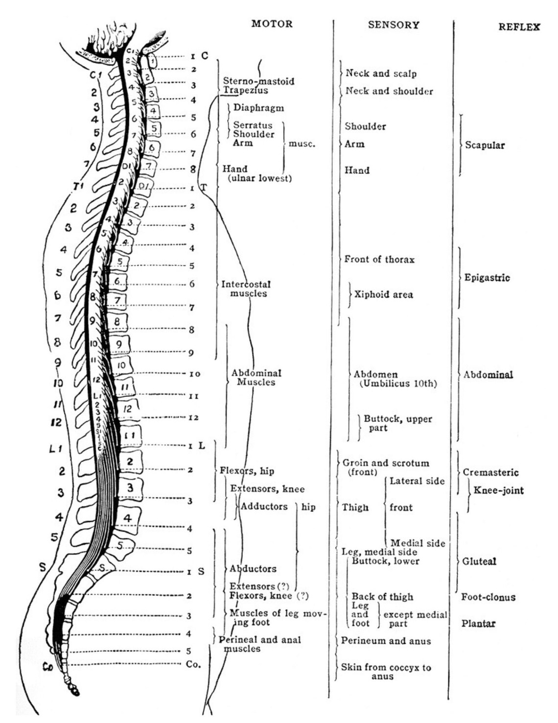 Digital Collage Lab: Kit 1 a Downloadable Collage Kit Fashioned in a ...
