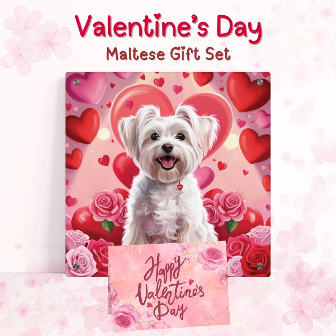 Valentine's Day Maltese Gift Set Acrylic Wall Art Panel Personalized ...