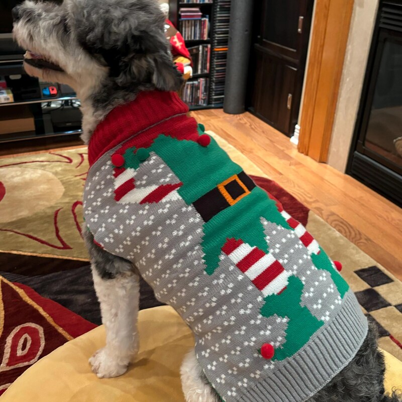 Santa Dog Knit Pattern - Etsy