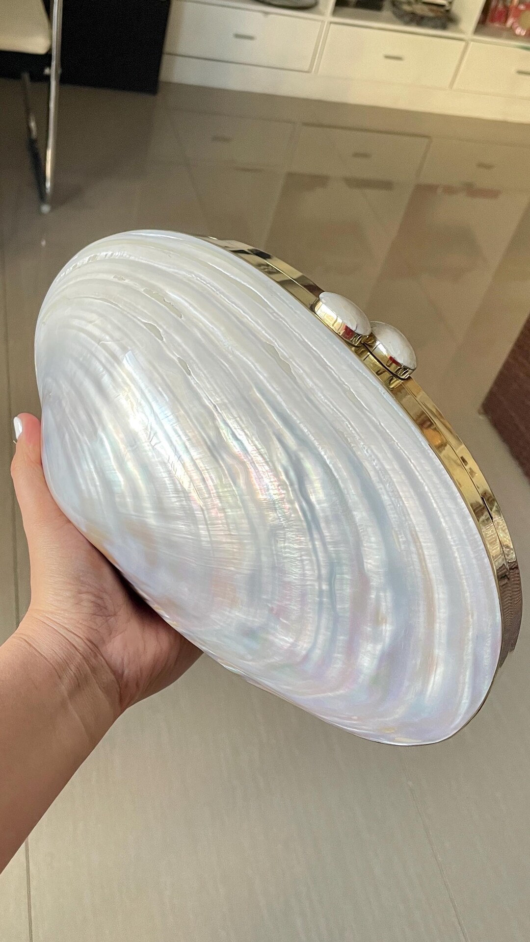 Whole Shell Clutch Bag | Polished Mother of Pearl, Brass Frame, Formal ...