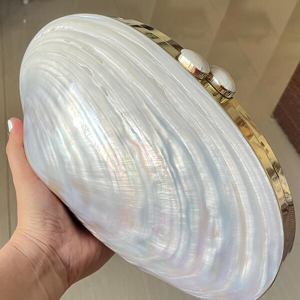 Shell Clutch - Etsy
