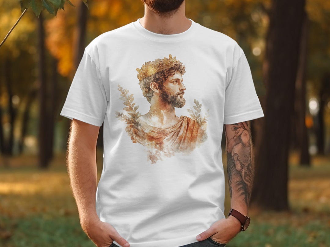 Marcus Aurelius Roman Emperor Art T Shirt, Ancient Rome Graphic Tee ...