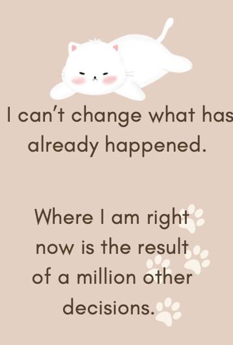 Radical Acceptance Coping Statements (cats!) - Etsy
