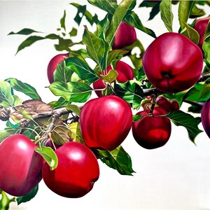 Apple Tree, Fruit Painting Original Art Deviantart Contemporary Still ...