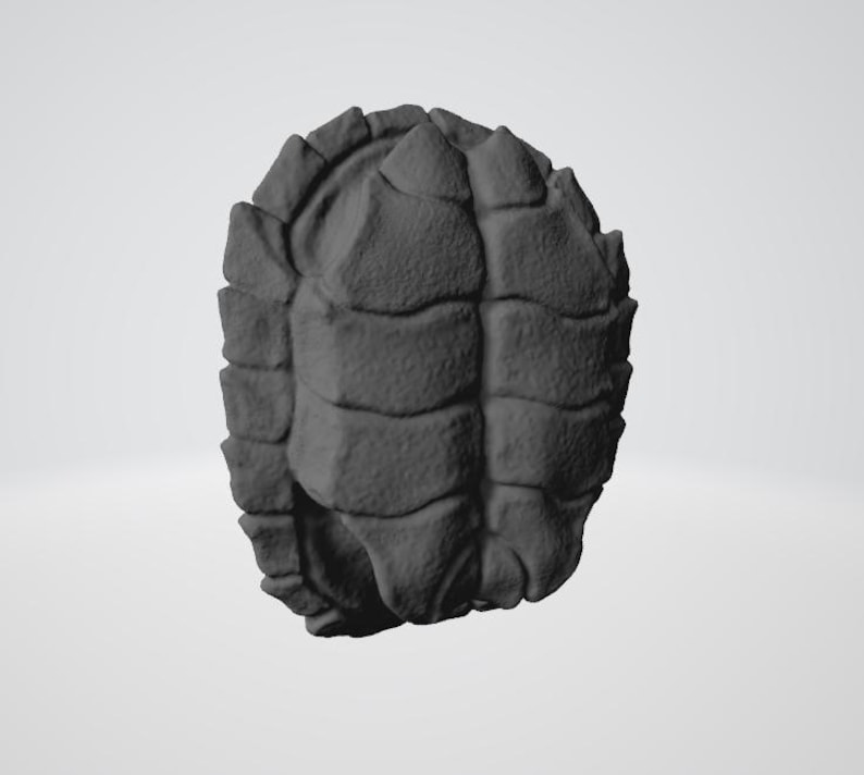 Turtle Shell STL 3D Print File - Etsy