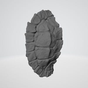 Turtle Shell STL 3D Print File - Etsy