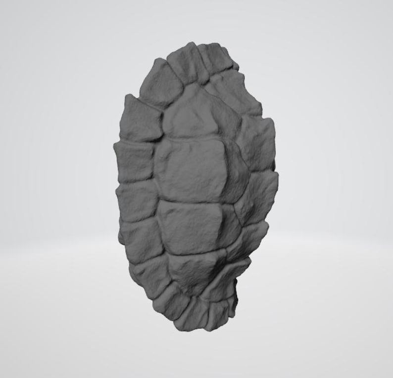Turtle Shell STL 3D Print File - Etsy