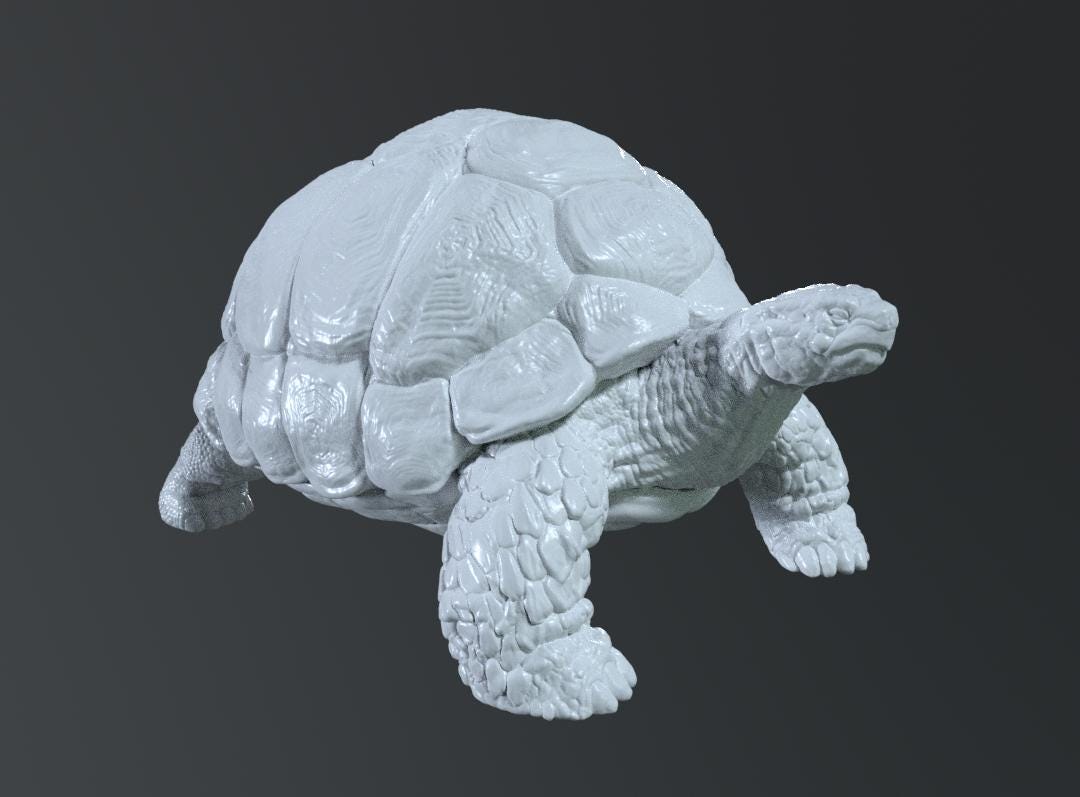 Realistic Tortoise 3D Model STL Figurine - Etsy