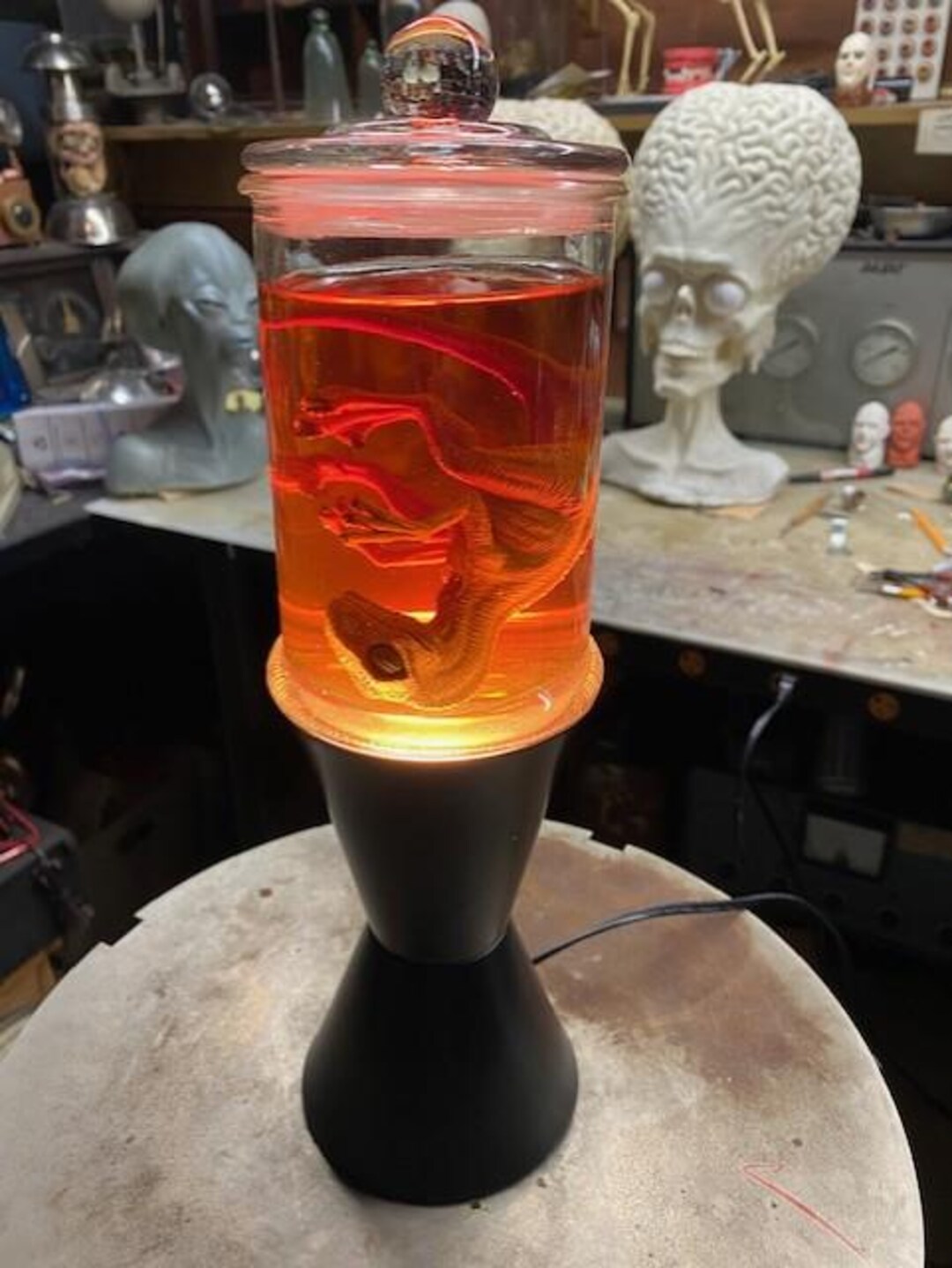 Preserved T-rex Embryo Lamp. - Etsy