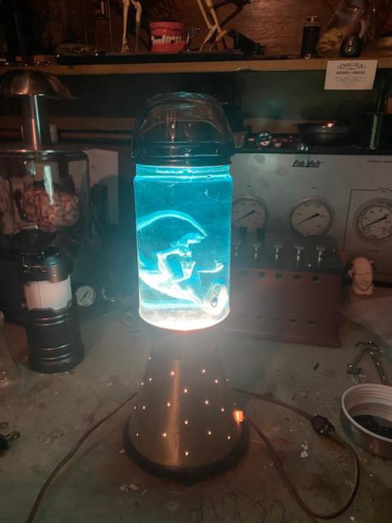T-rex Embryo Lamp - Etsy