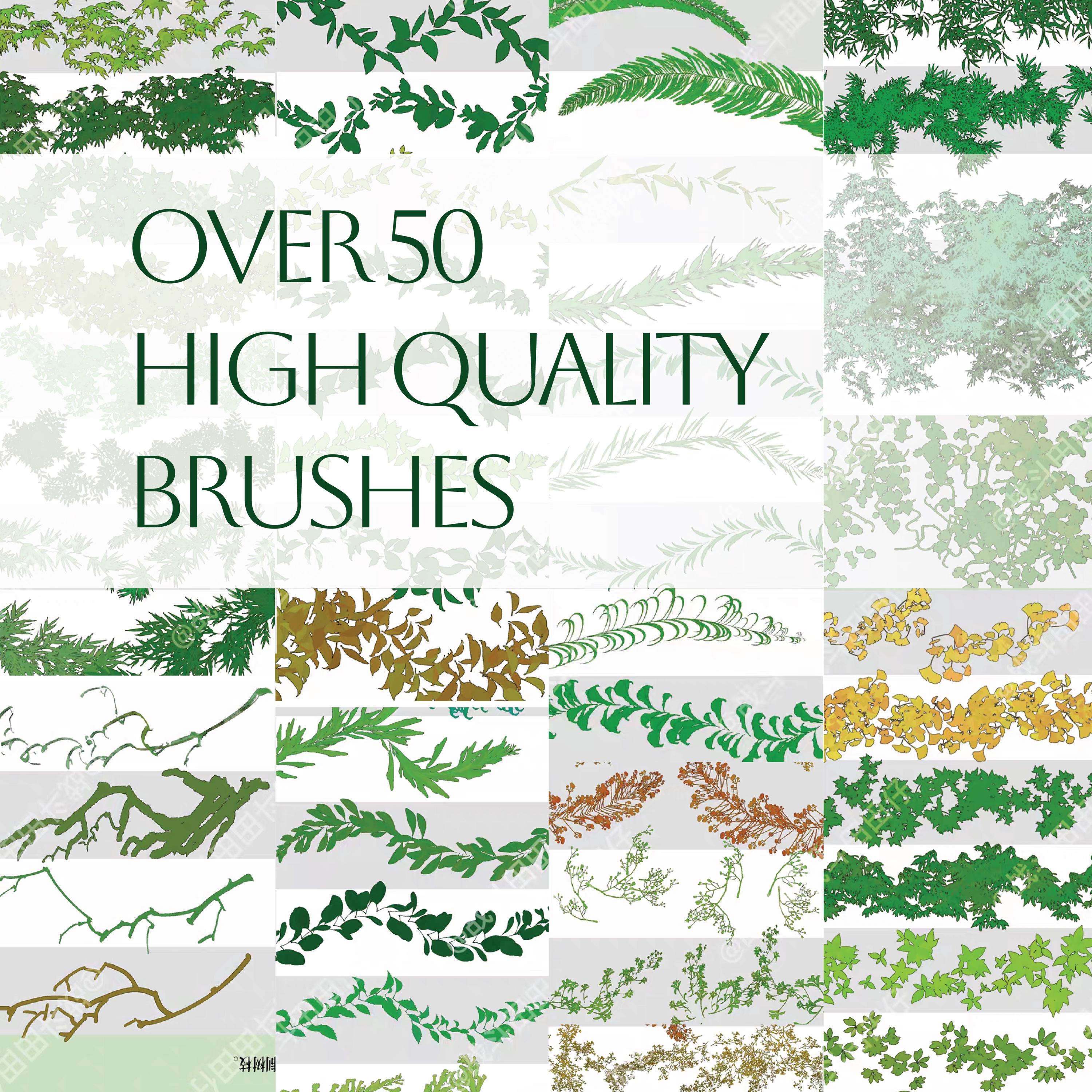 Forest Landscape Procreate Brushes: Watercolor Plant Brush Set (digital ...