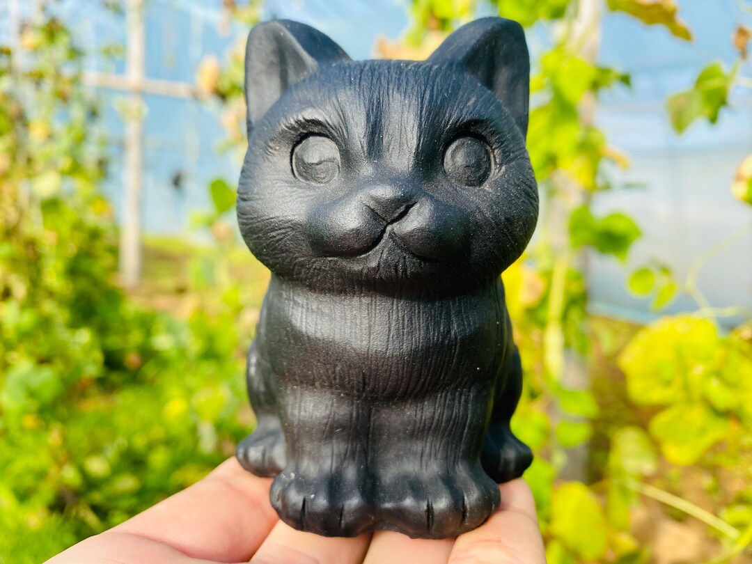 Hand Carved Obsidian Crystal Cat Specimen: Home Decor - Etsy