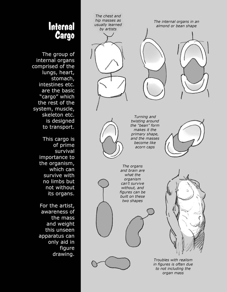 Mike Hoffman 2nd Instructional Book Download MORE SECRETS of DRAWING - Etsy