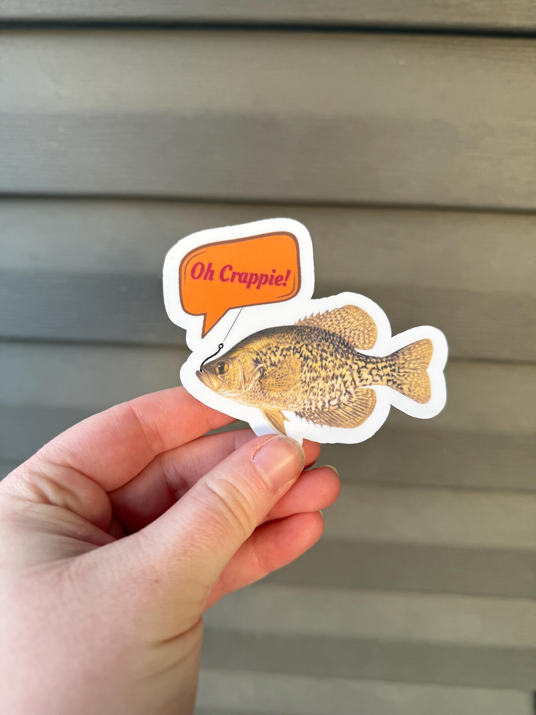 Fishing Dad Joke Sticker, Crappie Humor, Pun, Water Accessories, UV ...