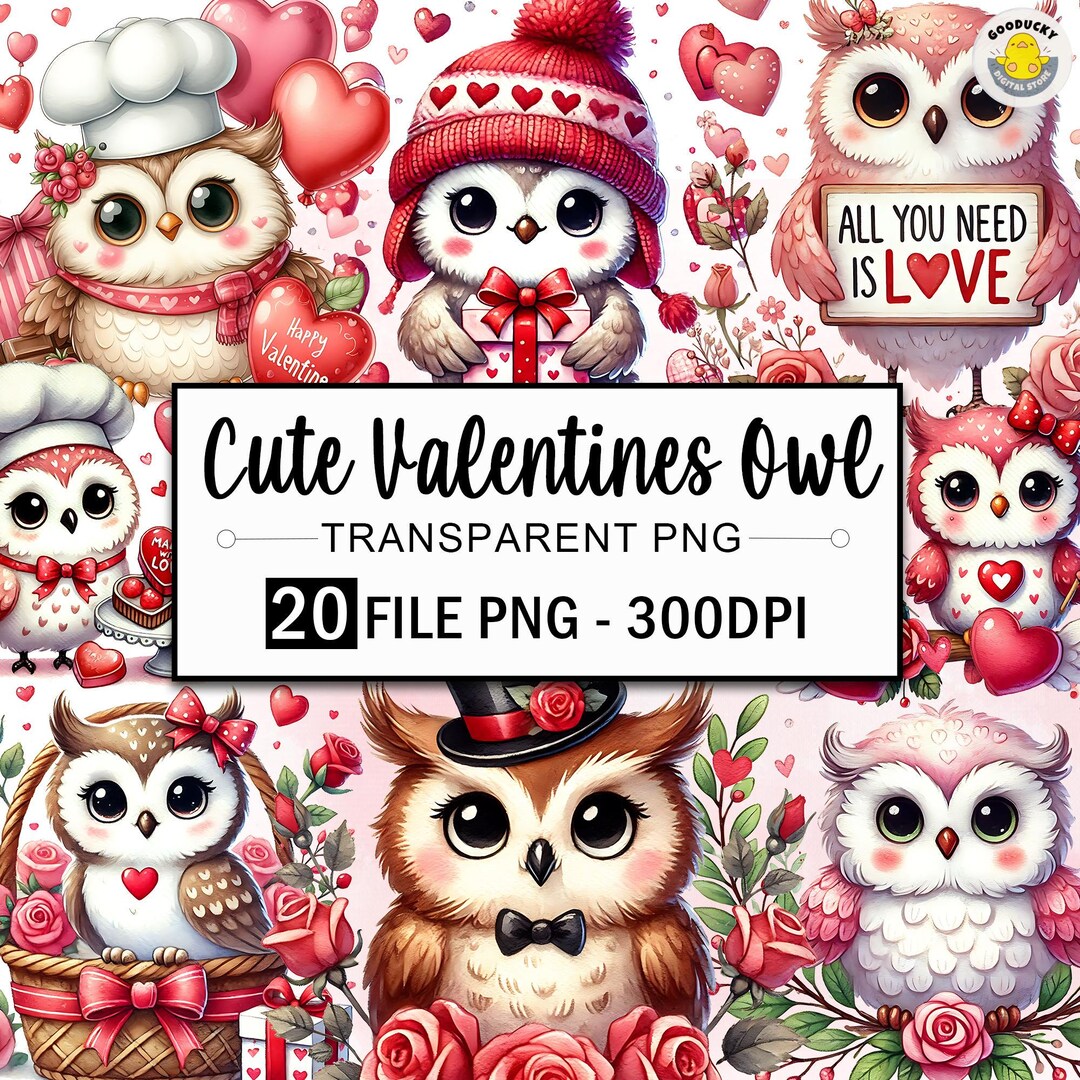 Watercolor Cute Valentines Owl Clipart, 20 PNG Cute Owl Clipart ...