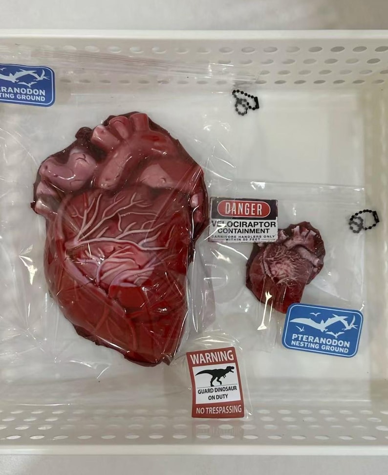 Giant Realistic Heart Squishy Life-like Stress Reliever Toy|weird ...