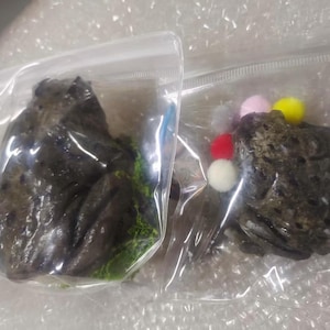 Handmade Hand-painted Frog Squishy – Cute & Scented Stress Relief Toy ...