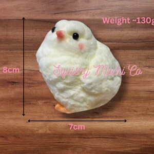 Squishy Chick Stress Reliever - Handmade With Food-grade Silicone/taba ...