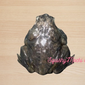 Handmade Hand-painted Frog Squishy – Cute & Scented Stress Relief Toy ...