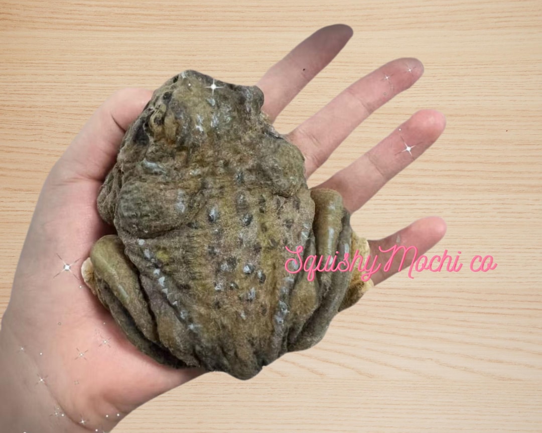 Handmade Hand-painted Frog Squishy – Cute & Scented Stress Relief Toy ...