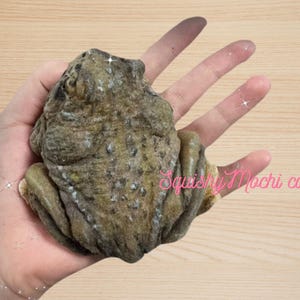 Handmade Hand-painted Frog Squishy – Cute & Scented Stress Relief Toy ...