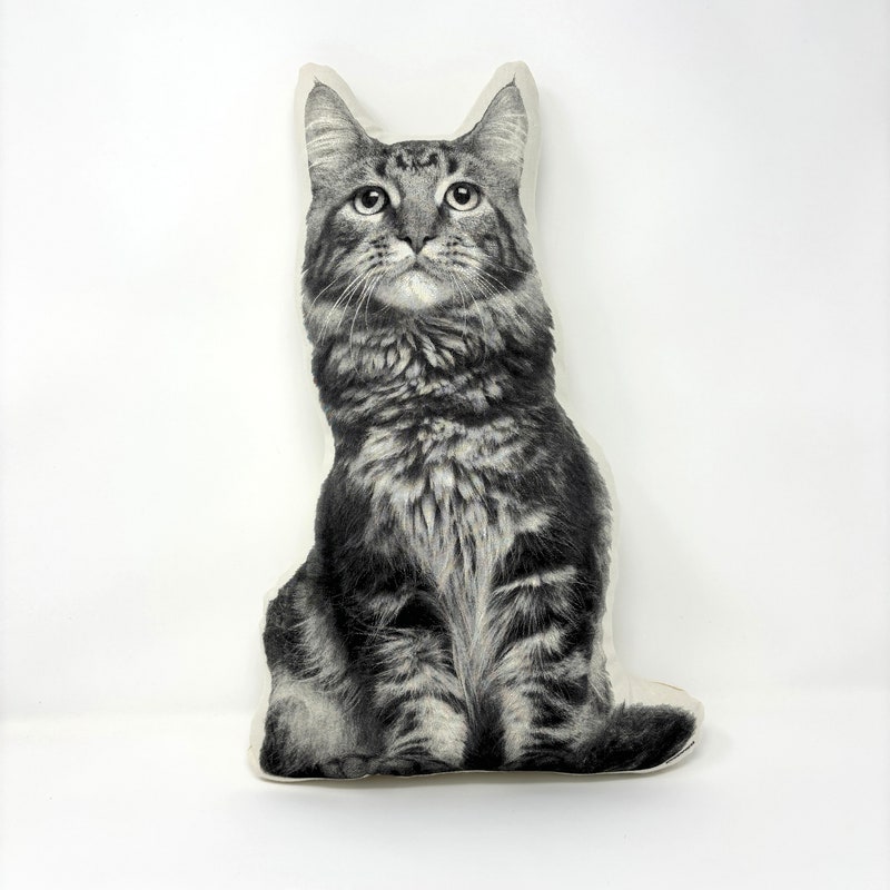 Realistic Cat Pillows - Etsy
