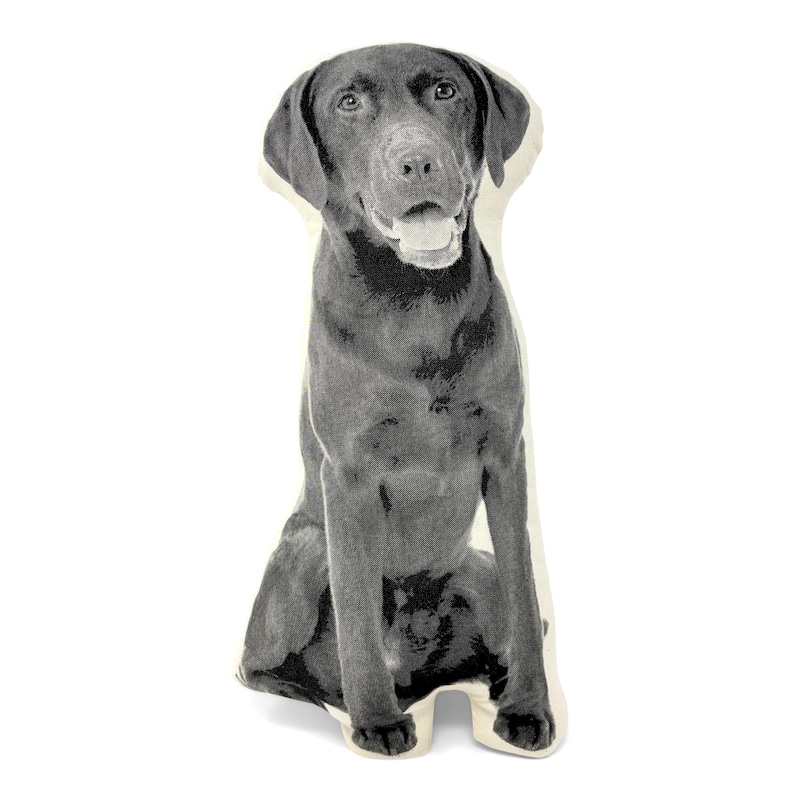 Labrador Pillow - Etsy