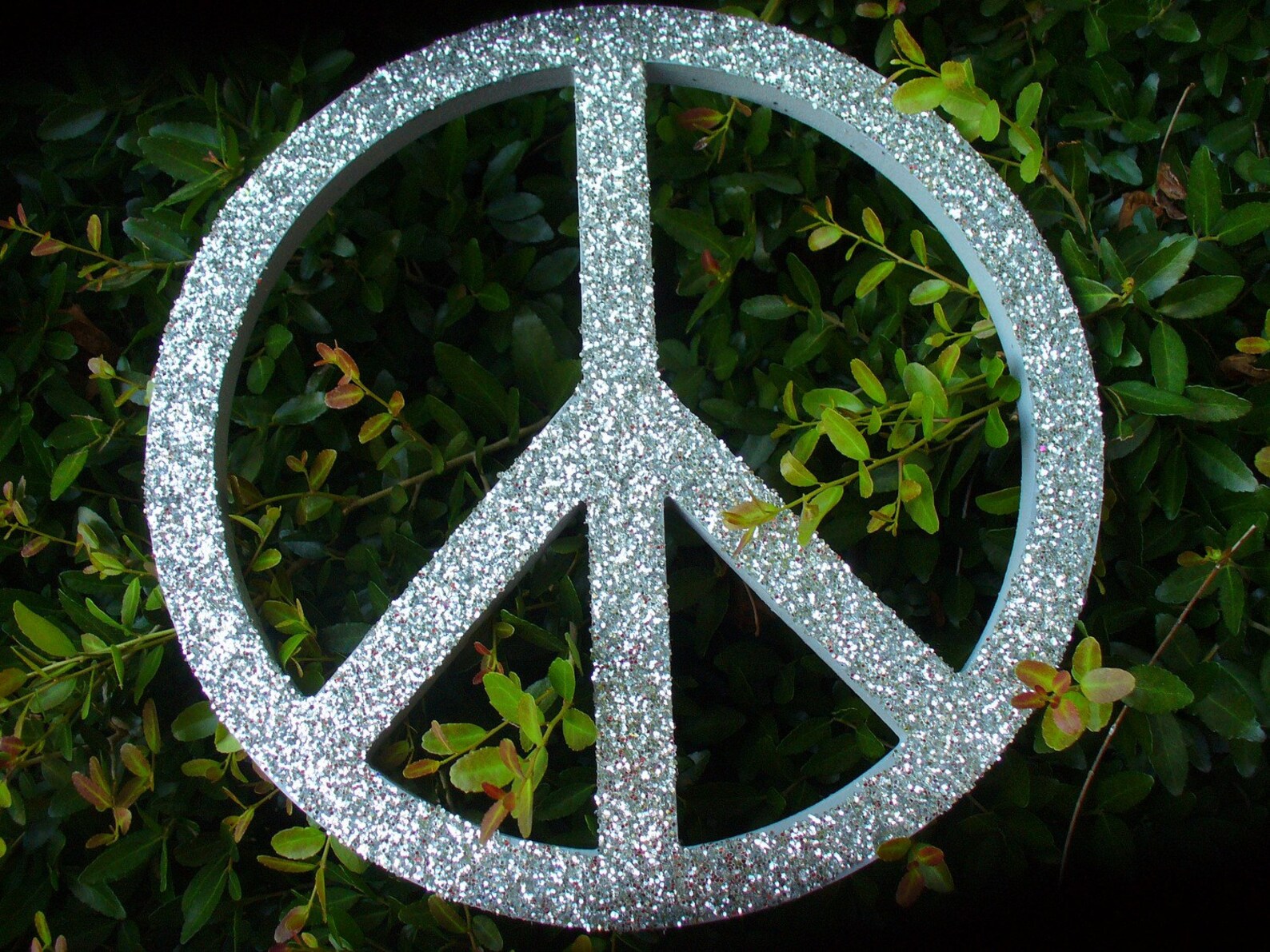 Glitter Peace Sign-silver | Etsy