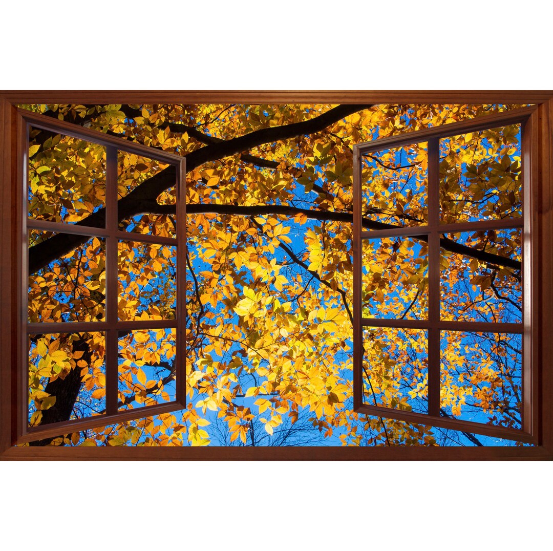 Wall Mural Window, Self Adhesive, Woods View-3 Sizes Available- Sunny ...
